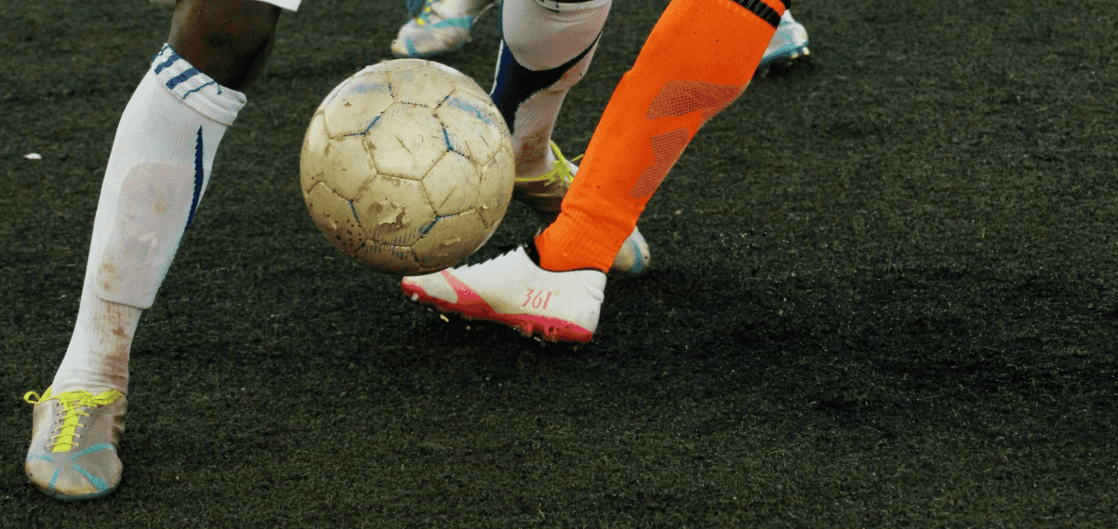 플코 COACH - 매일 더 스마트한 코치가 되는 경험